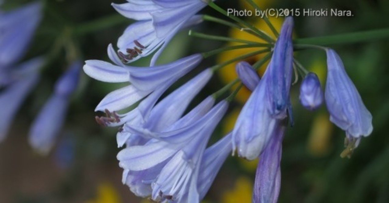 しかし日本はばかであほうが多いですね。｜hiroki-nara