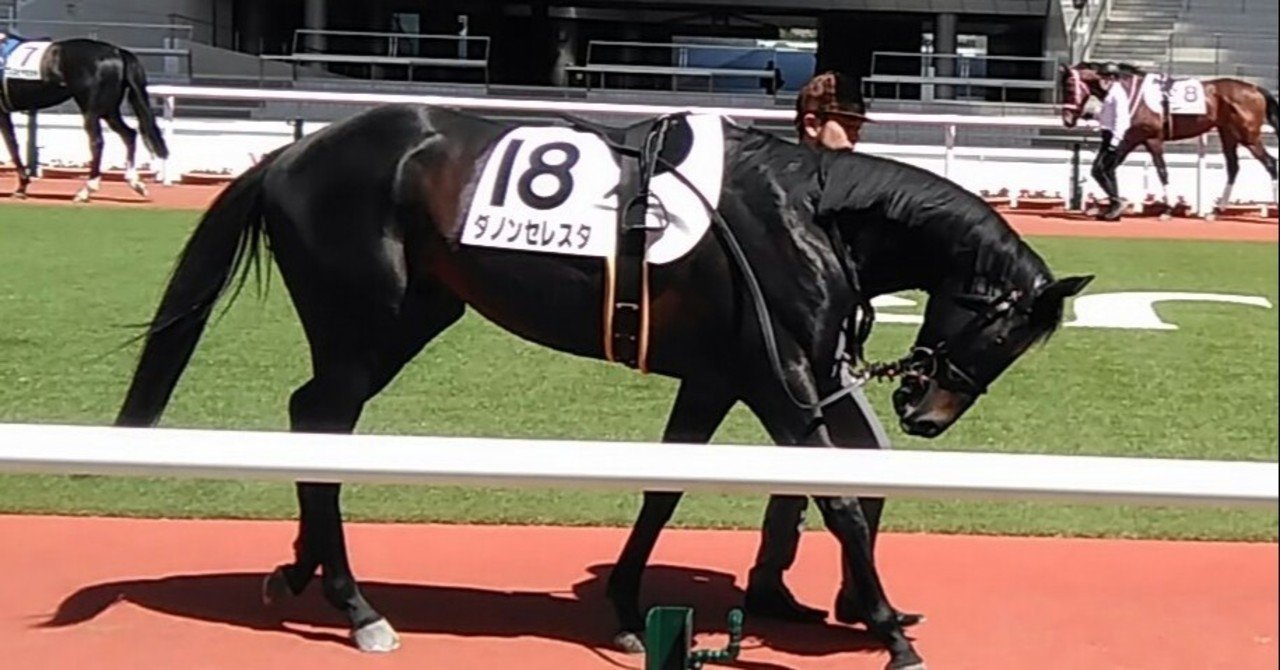 4/5（日） 阪神4R 1番人気馬｜JRDB 競馬アラカルト