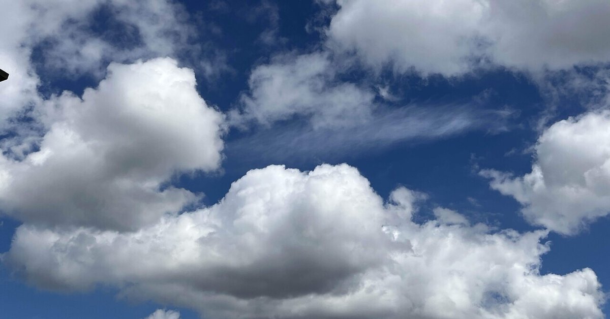 38w4d｜妊婦健診ラスト｜こりこり