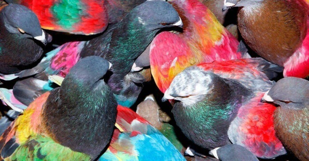 Blawan『SickElixir』─ノイズと肉体が融合する、30年後のメインストリーム｜音楽好き左利き平凡耳