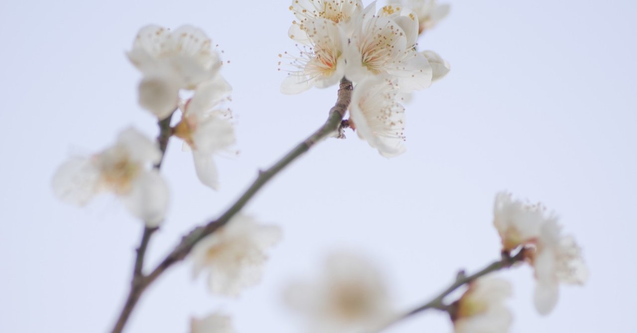 おうち時間を使うなら｜Akio Wada｜note