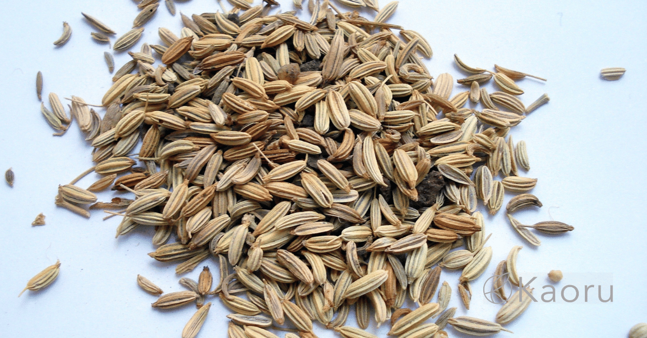 インドカレー屋のレジ横で見かける小さい粒々の正体｜Kaoru herbtea