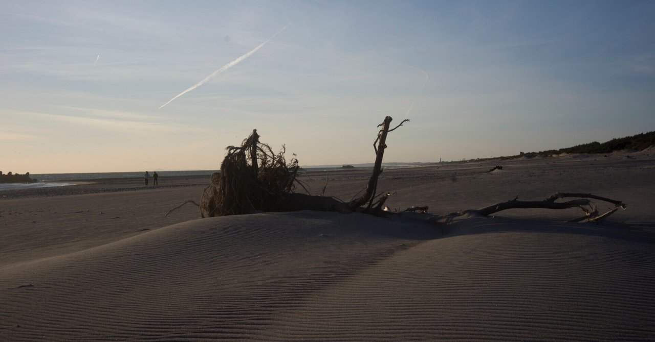 SNSについて考えた日｜Takahashi Toshio