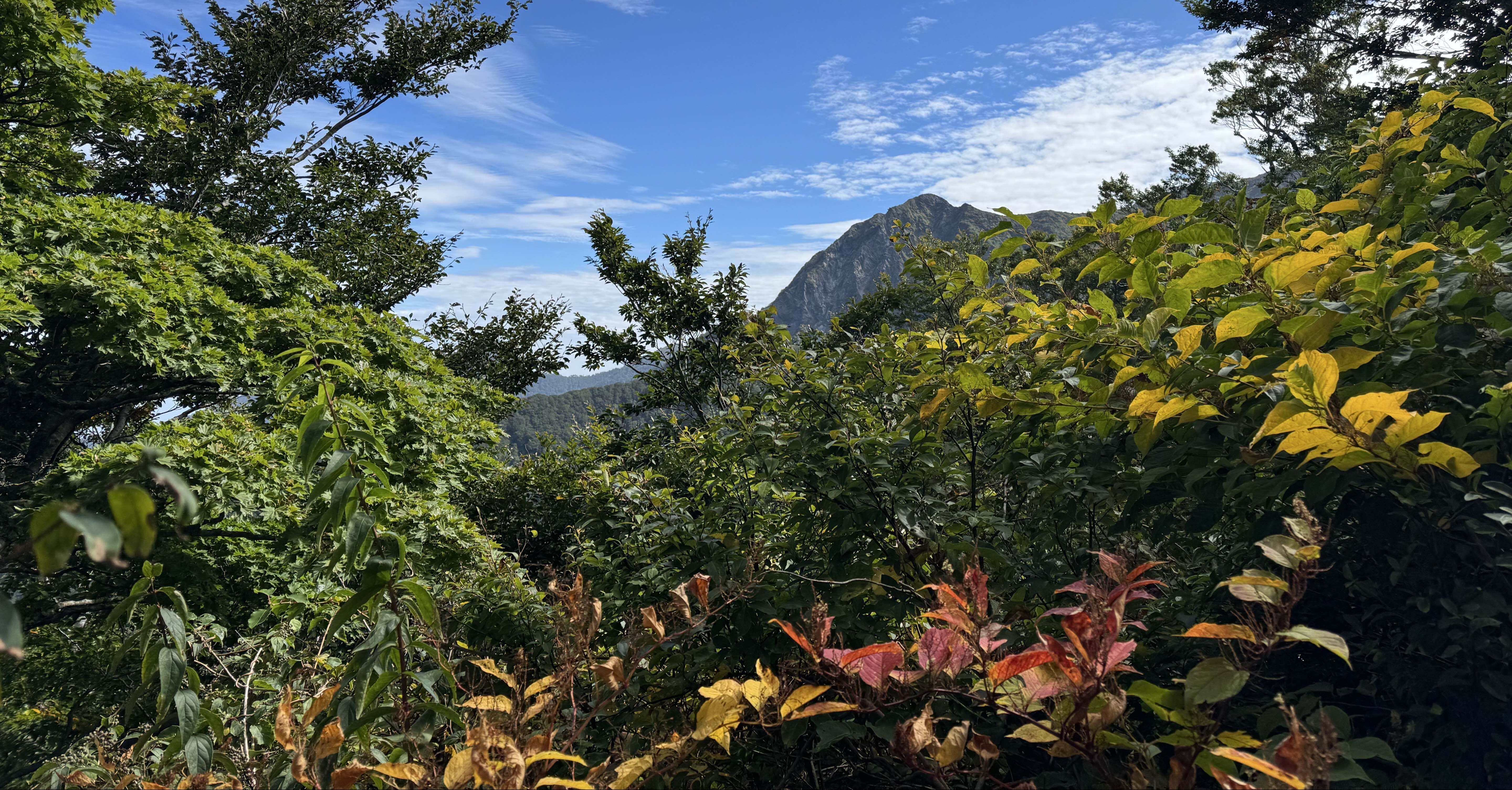 中国地方 - 広島｜KOAGALOO｜note