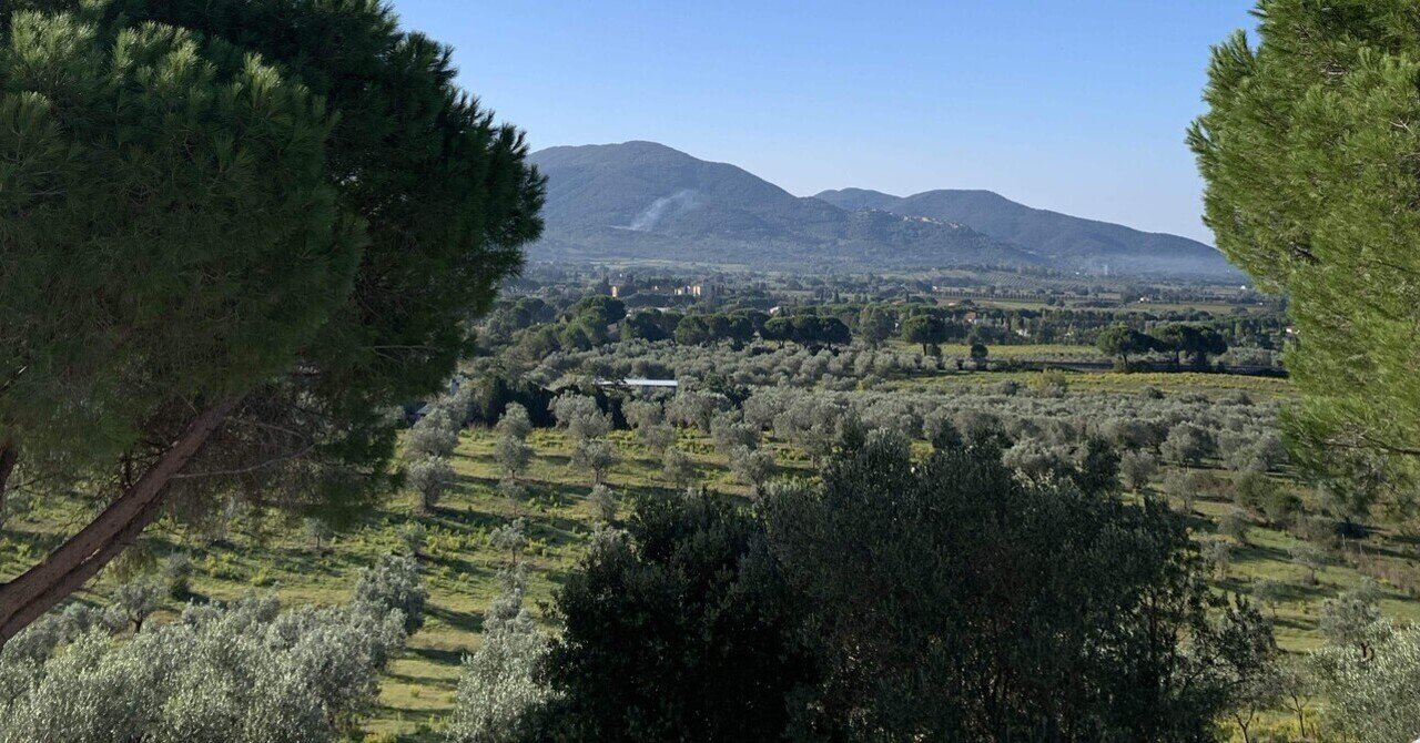 オリーブ畑の休日 5｜OTA YUKI