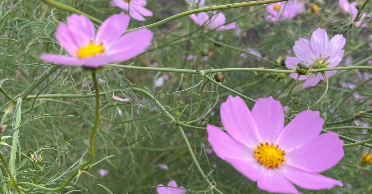 Excelの授業｜WEB12