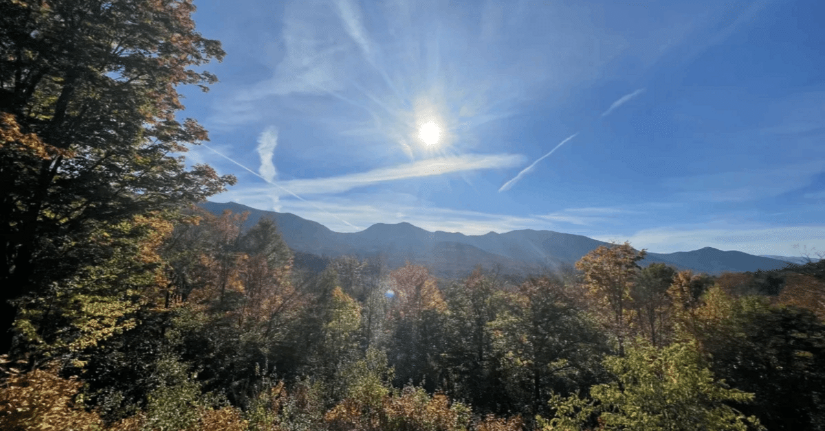 #YourChoiceProjectライター紹介【J】｜NPO法人 #YourChoiceProject