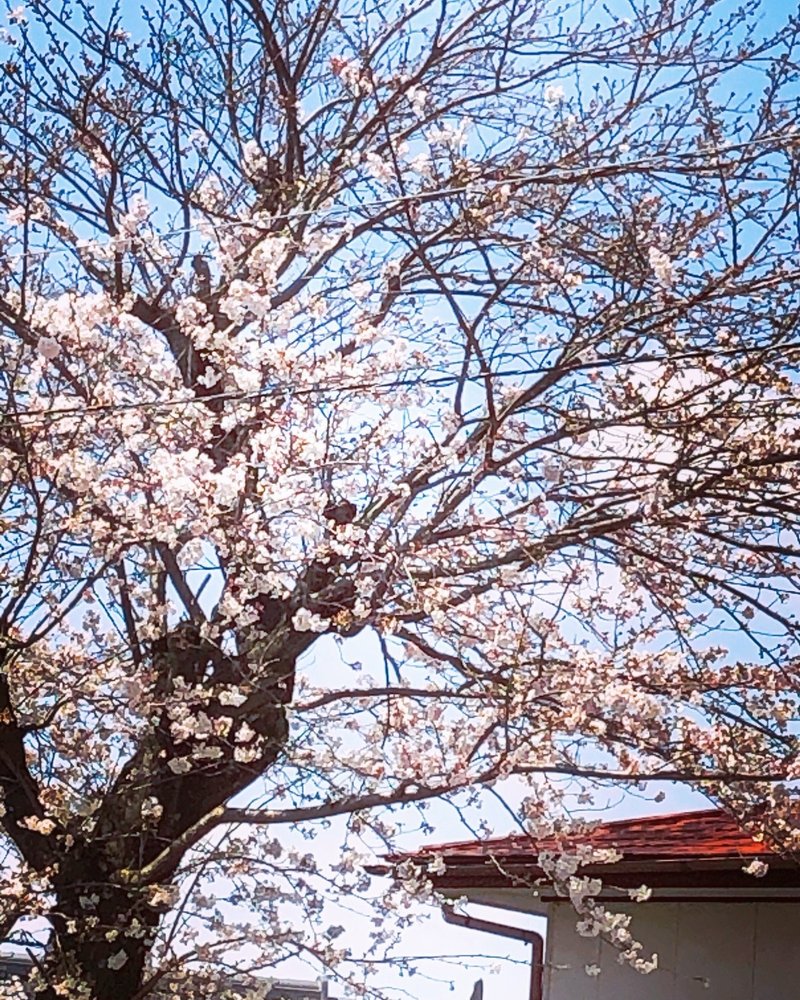 正しい事と押し付けられる正義｜エネルギーワーカー 伊藤 あつし｜note