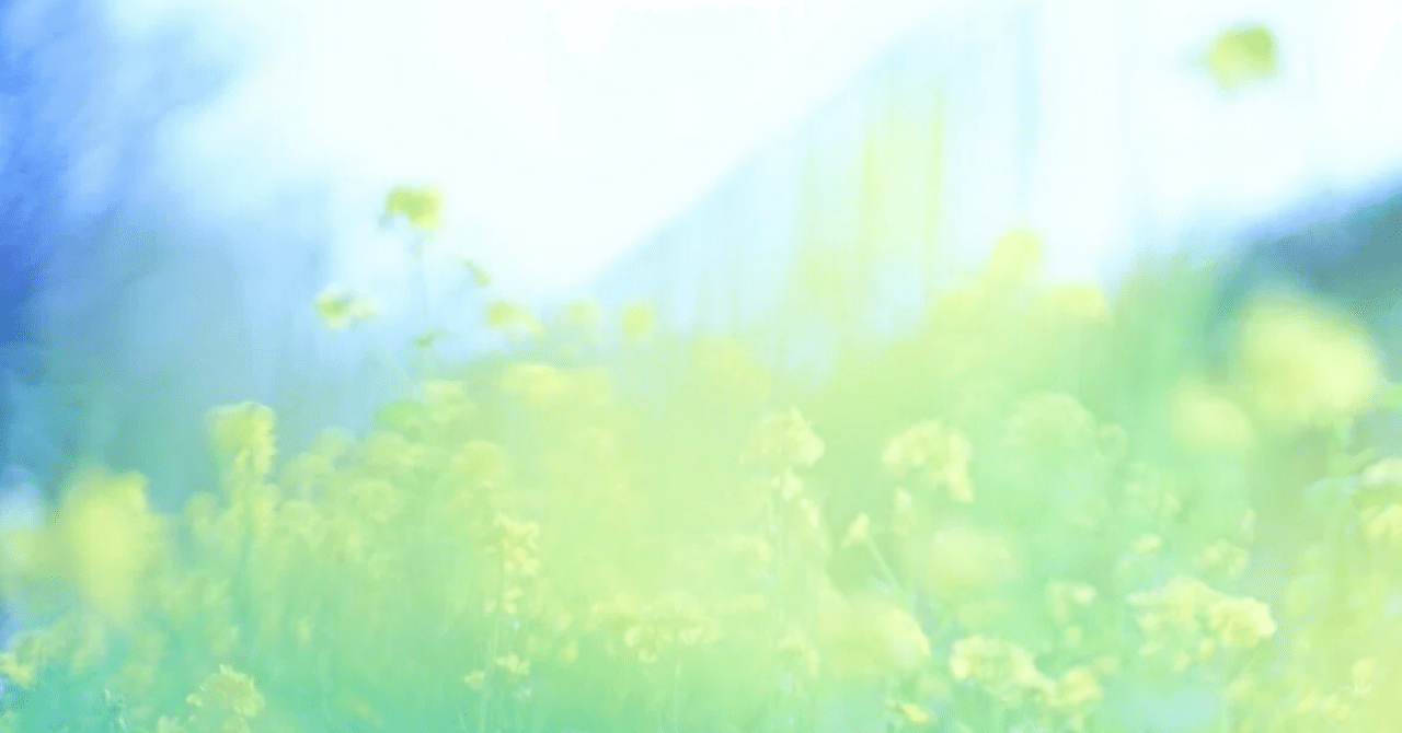 ご挨拶｜Risa Labo