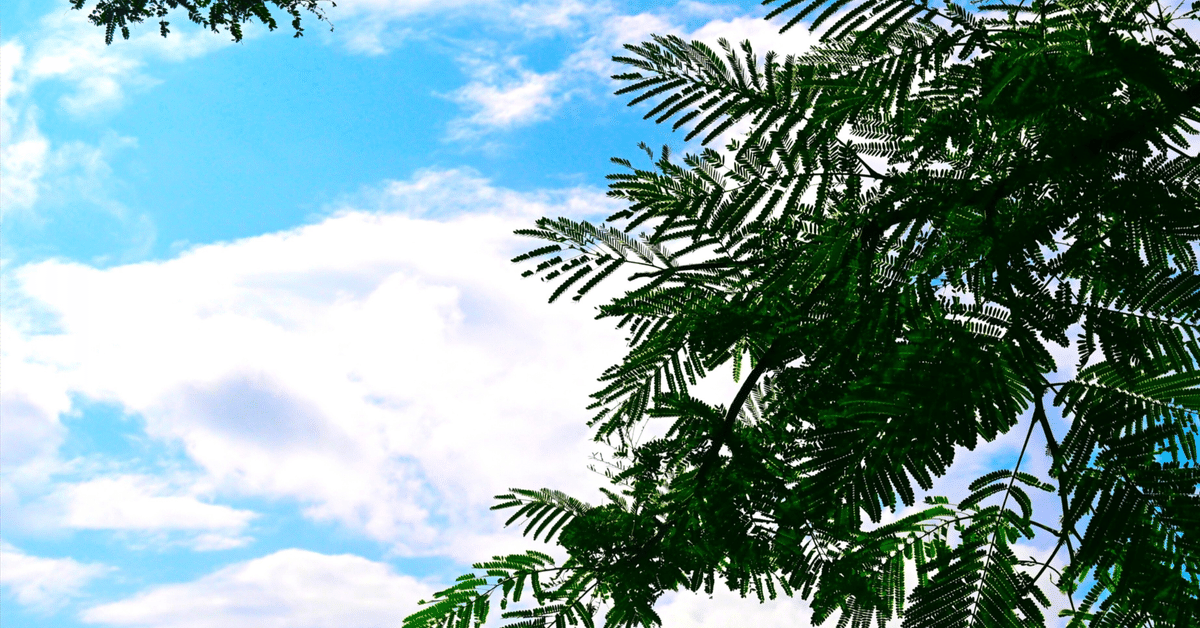 noteは広告を貼れなくても稼げる！？noteの収益化方法について解説します！｜pengin DESU