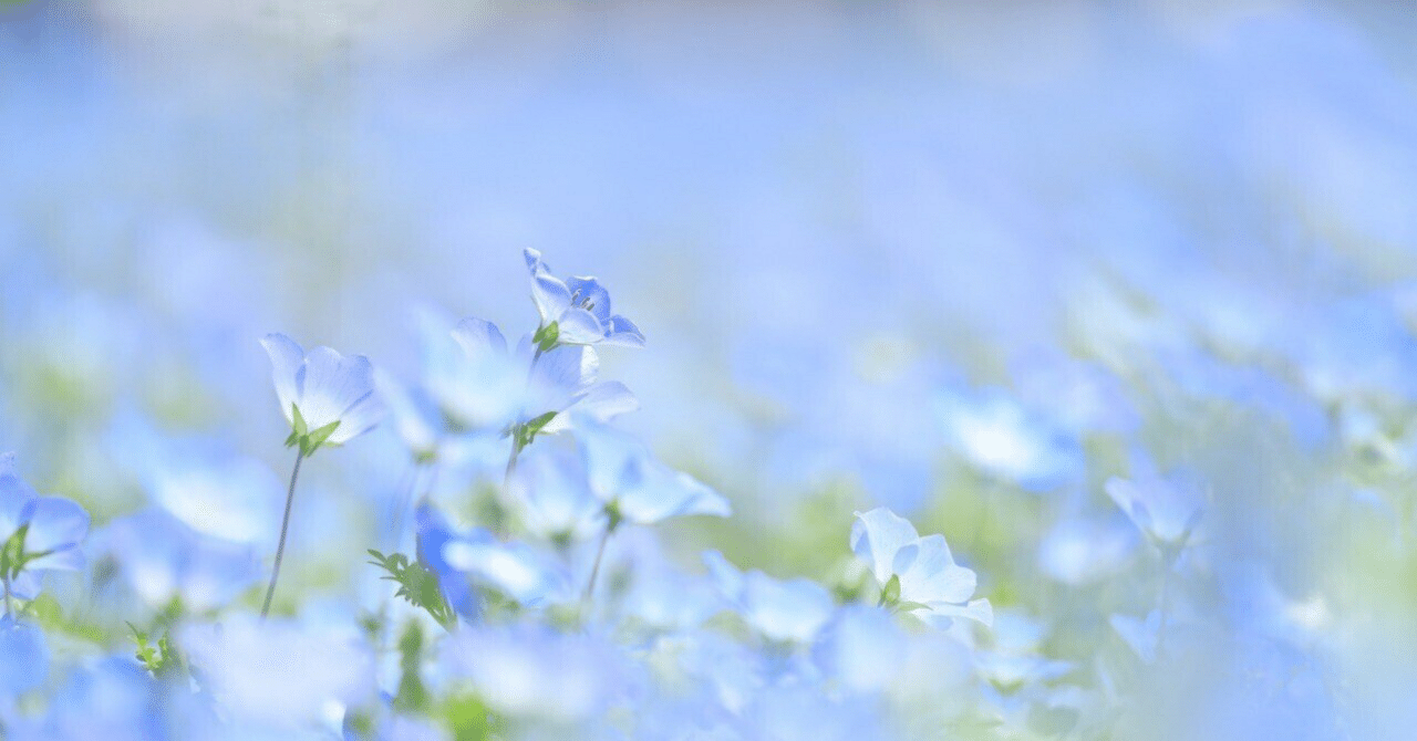 私の世界一のパパへ｜Rira