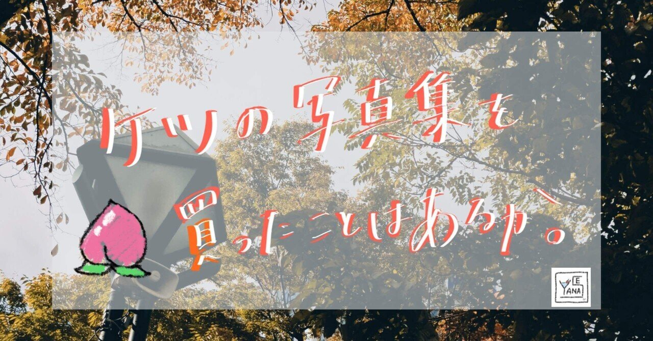 ケツの写真集を買ったことはあるか。｜やなせ桔梗｜Yanase Kikyo