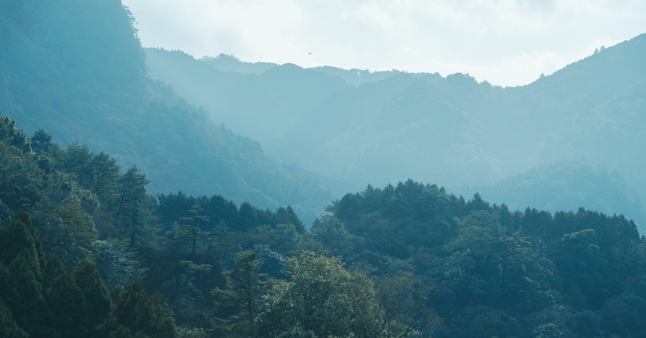 おばあちゃんちが懐かしい｜カモミール