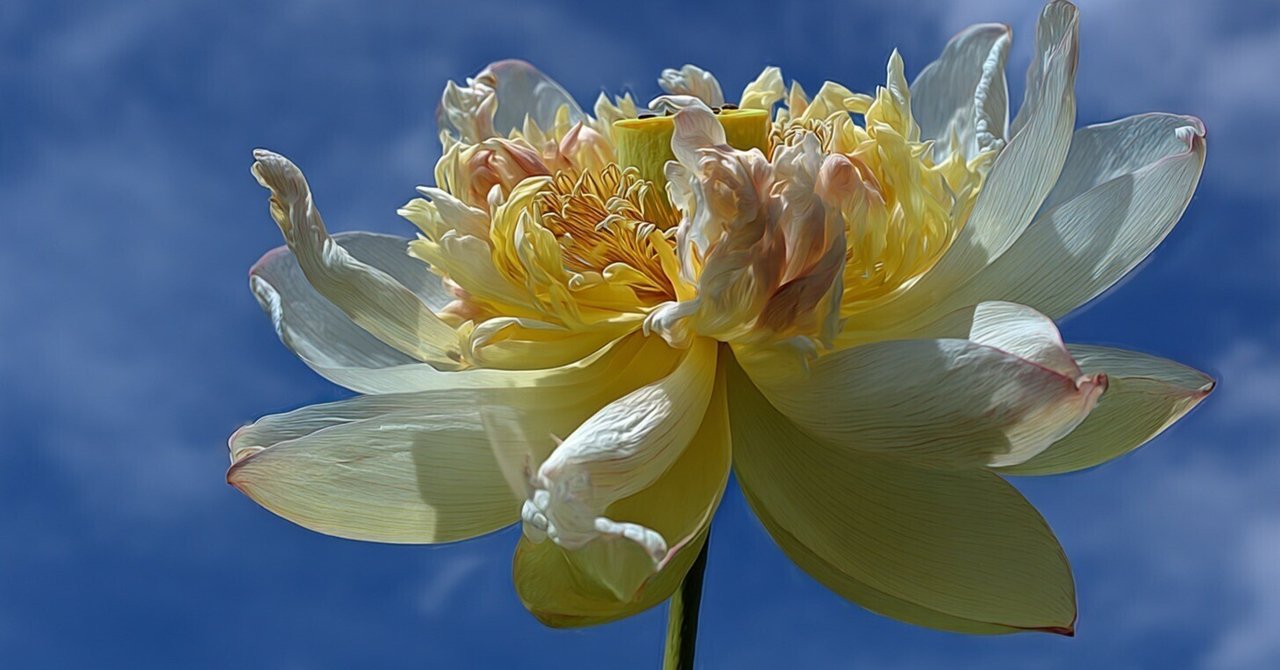 命の連鎖と新首相誕生の日｜Ryutaro Hino