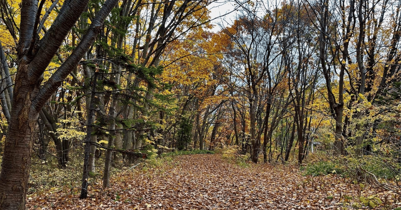 秋といえば🍂｜Eri ITO