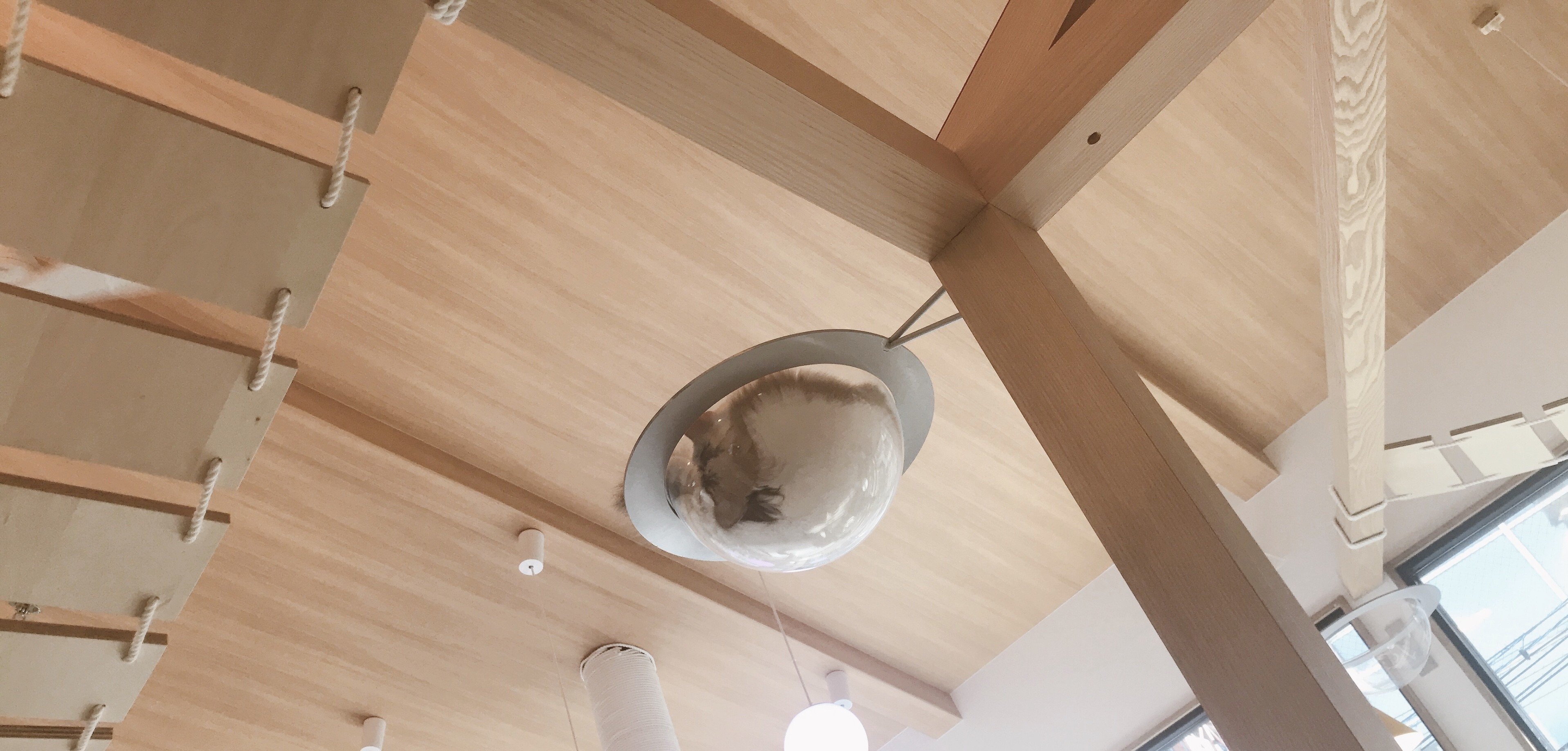 𝒄𝒉𝒊𝒉𝒊𝒓𝒐｜note