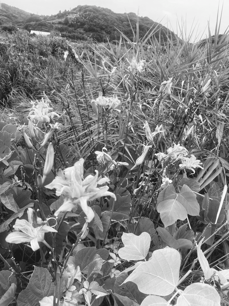 No.26 幸せ探しの終わり（過去記事）｜fuku