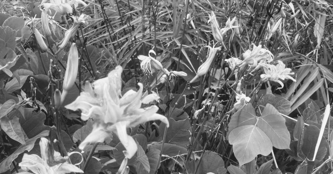 No.26 幸せ探しの終わり（過去記事）｜fuku