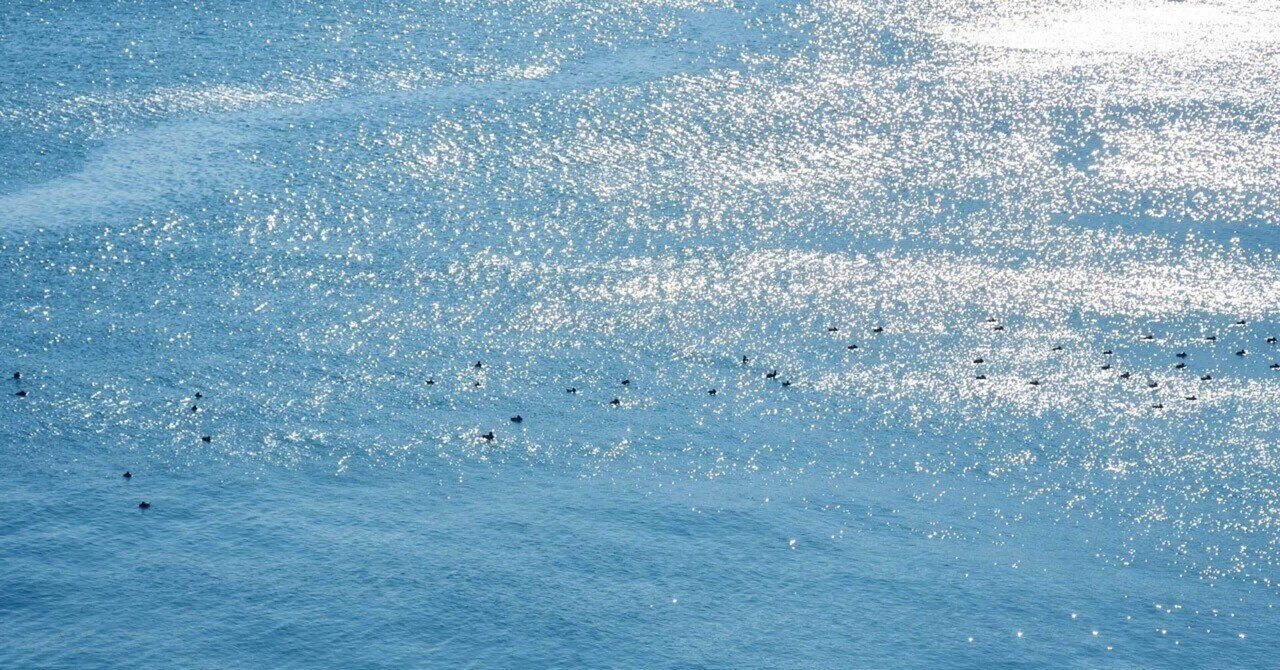 お金や仕事の流れが止まったときは、内側を整えるタイミング｜しょーこ｜看護師さんのお悩み相談室