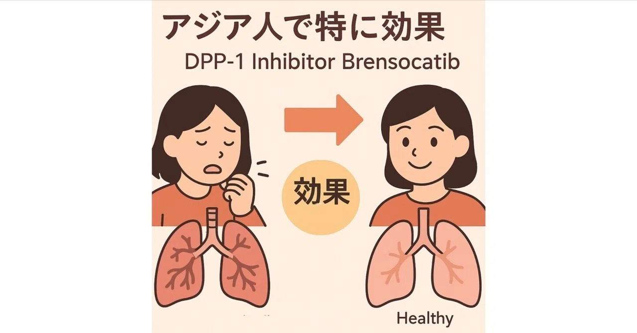 気管支拡張剤治療薬DPP-1 Inhibitor Brensocatibはアジア人種に特に効果？｜Makisey