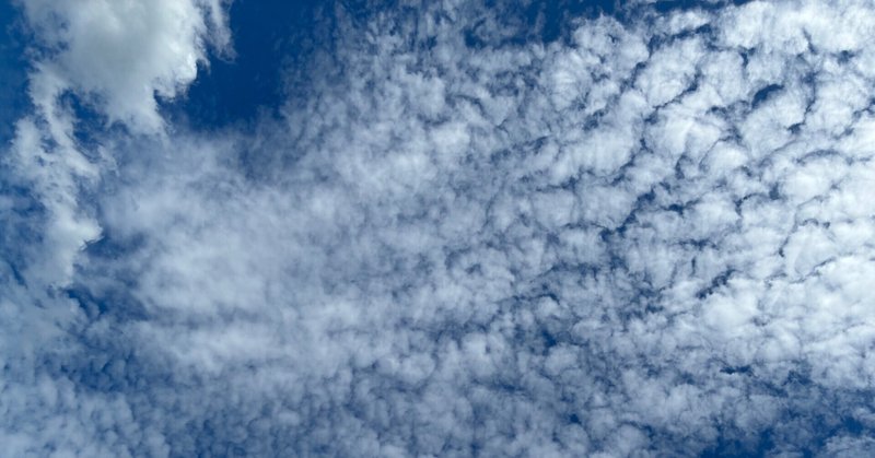 つぶやき｜咲｜note