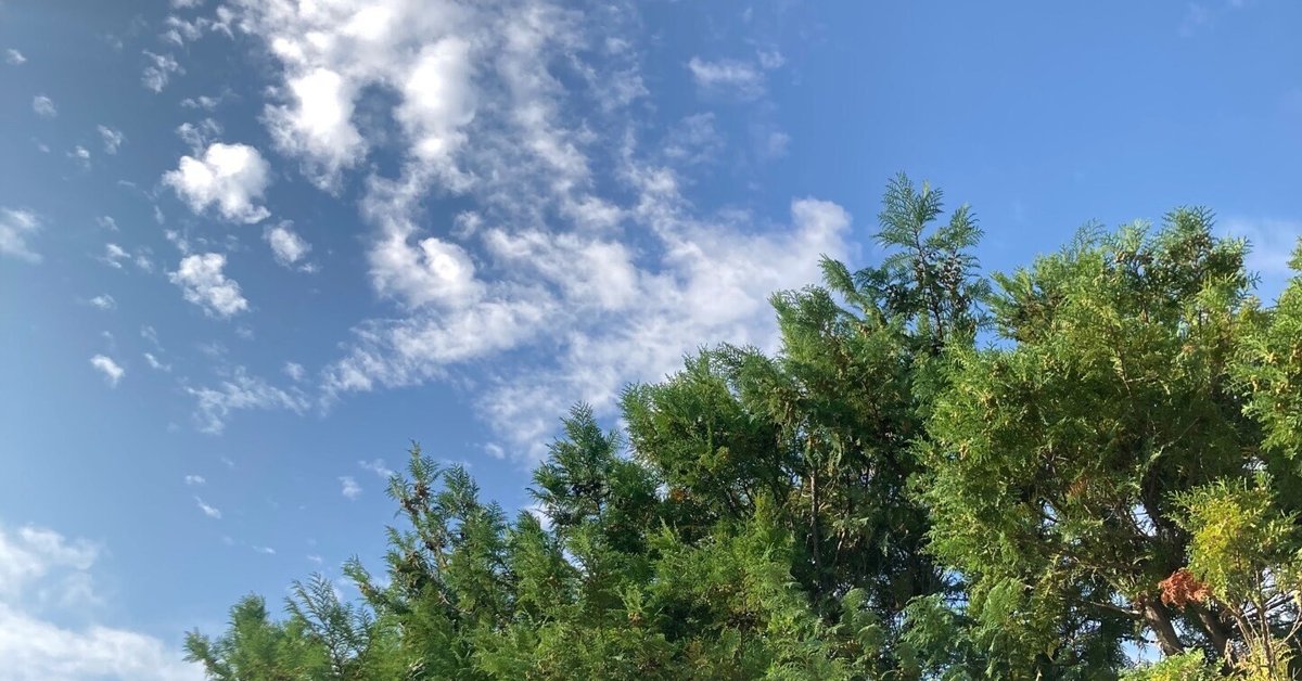 JBC各レース展望 〜各レース見どころ満載〜｜dorayaki