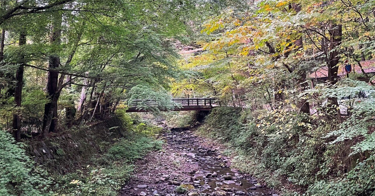 【日記】ネパールのお祭り｜予知夢を見た話｜オーストラリア人と話した朝｜UMIUMI