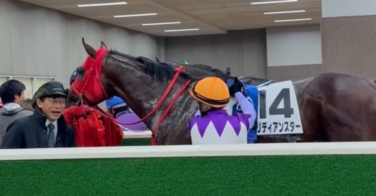 【関連馬優勝記念🏆半額セール】10月26日（日）平場勝負は新潟4R（11:10）からの4番セットじゃ‼️｜馬道を極めろ！馬師岡井・至極の一本