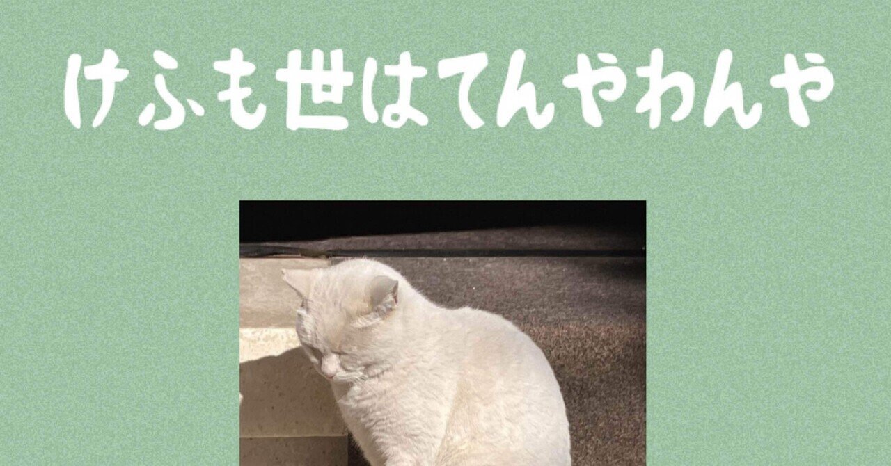 #7 タイ王国シリキット王太后崩御・高市総理所信表明演説への妨害｜Nao_Sano