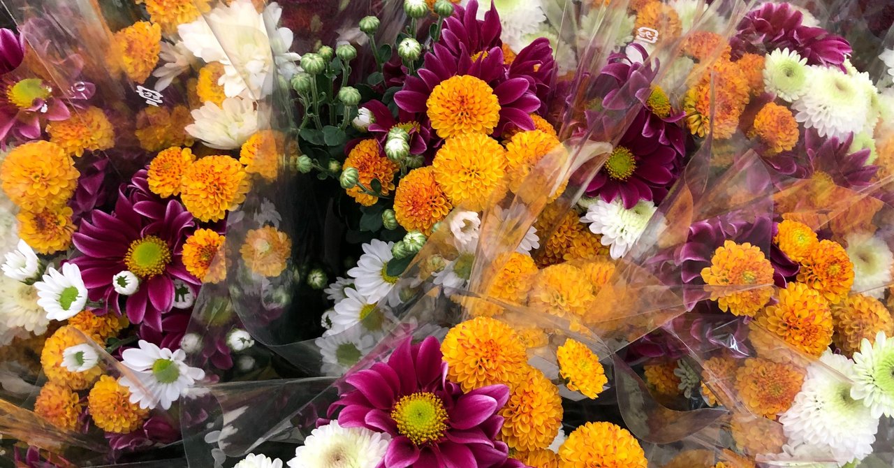 切花相場深刻｜ichiyo｜note