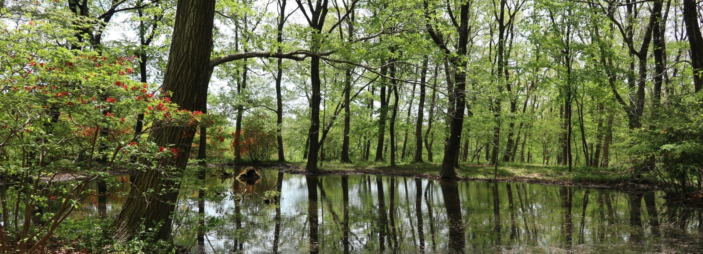 bio-landscape｜note