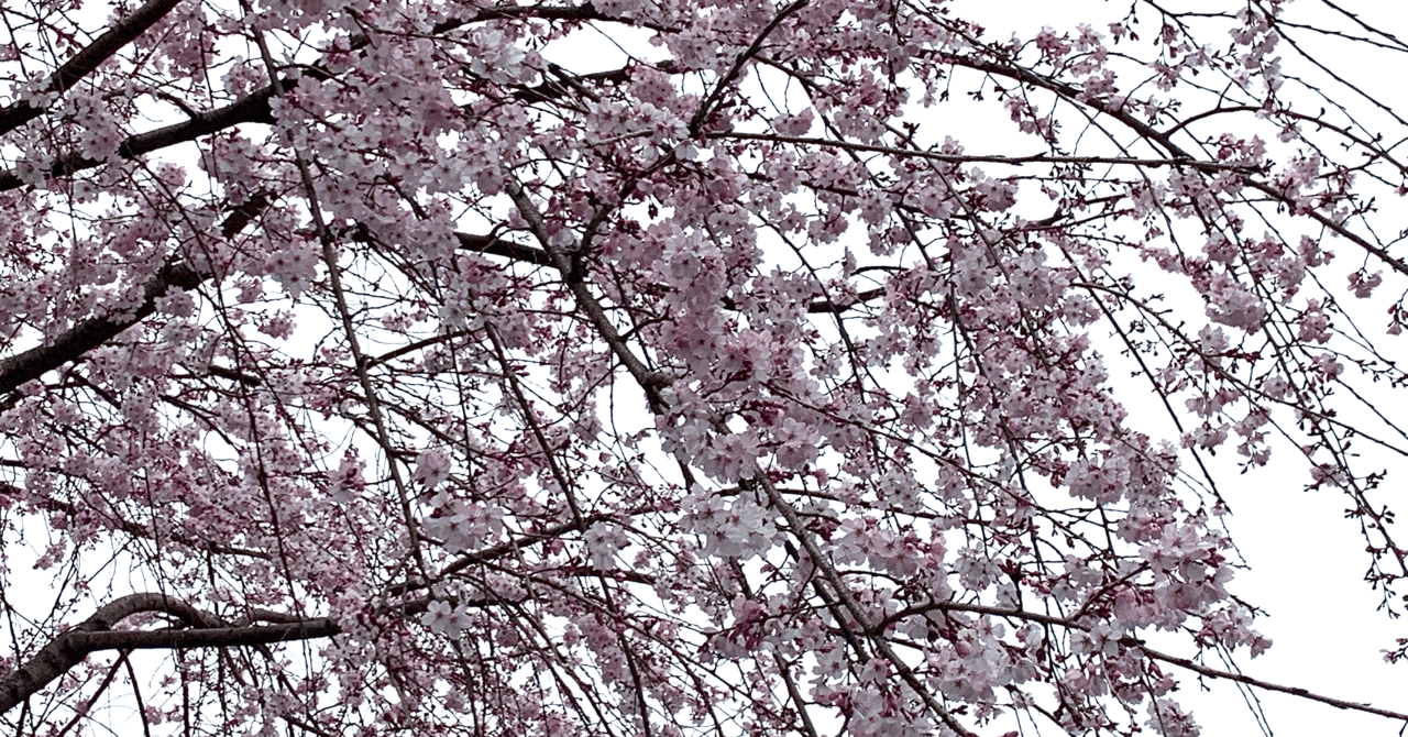 変わらないと残れない「変化」｜和田晶雄｜Akio Wada｜note