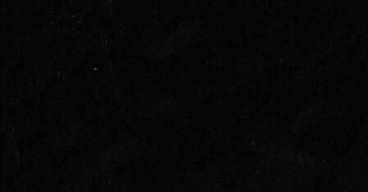 光のVRChatterに殺された闇のVRChatter｜オウル