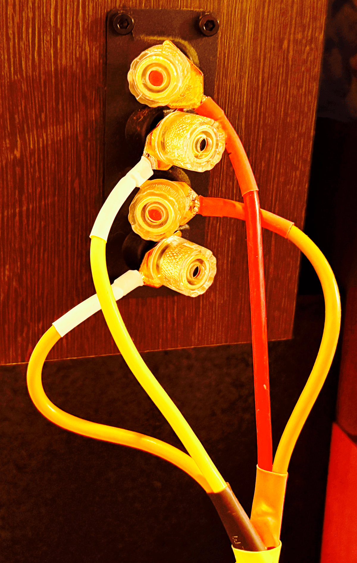 Wharfedaleの名機DIAMOND 10.1──“英国サウンド”が光るウォーム系スピーカー【連載：音響遍歴Vol.11】｜b.s.collect by Tsune