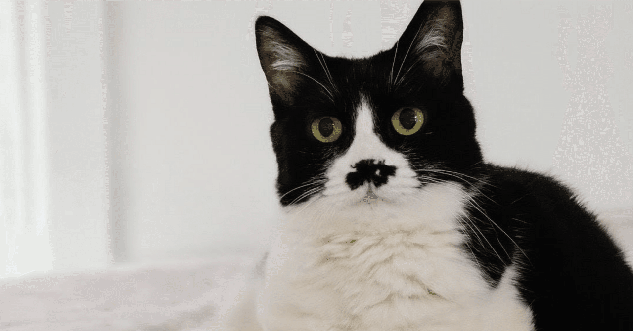 布団の中で愛を叫ぶ｜kayano