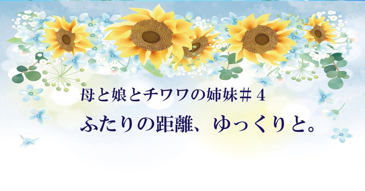 母と娘とチワワの姉妹＃4 ふたりの距離、ゆっくりと。｜こすもす