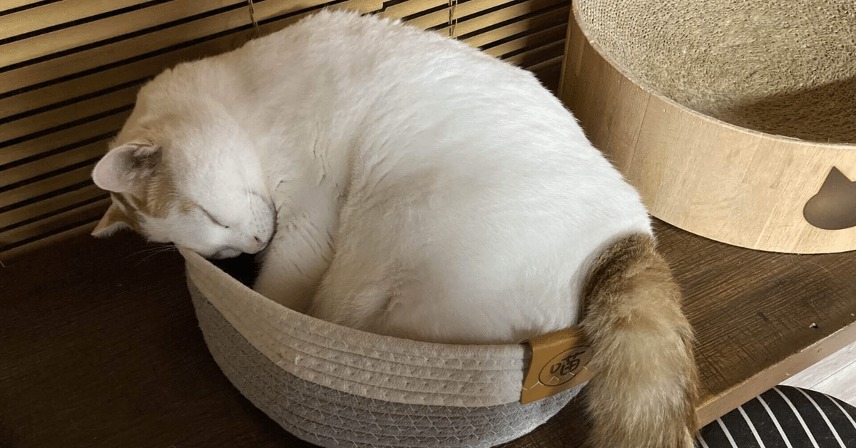 【デジタルデトックス】ミニマリストはスマホの中身もシンプルにしたい｜maki_hspミニマリスト