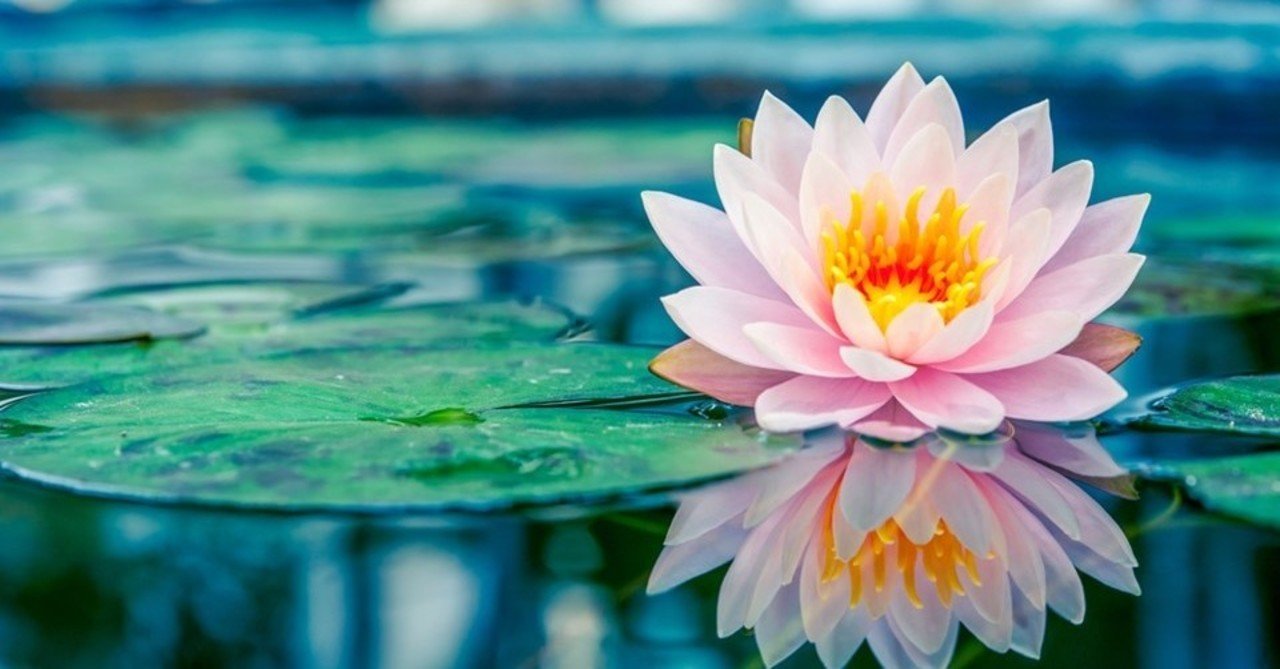 社会人2年目の迷いとあこがれ Ep0.1｜かんだひろし (Hiroshi Kanda)