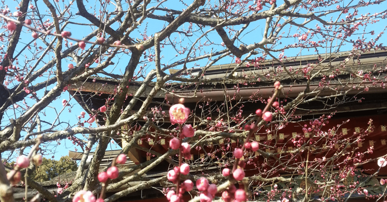 令和｜Y.Tada｜note