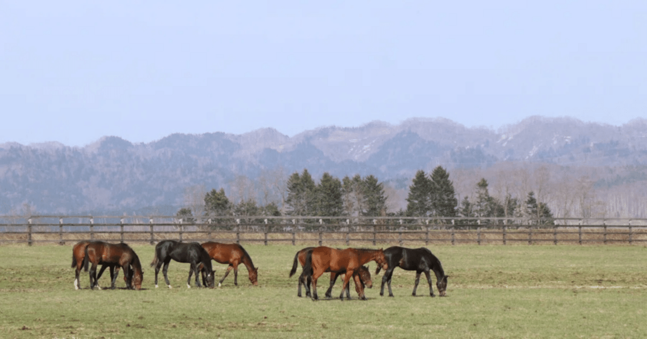 2025_JBC4競走のみどころ｜本気の競馬力向上研究所
