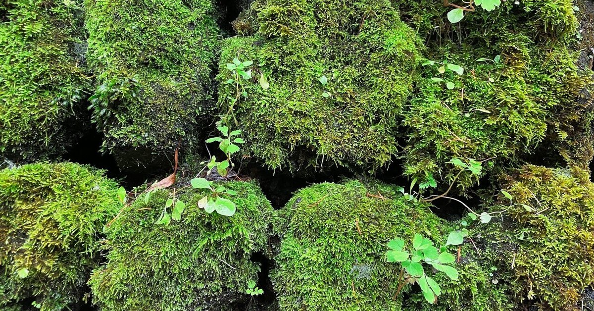 【日記】10/29〜31｜地獄の引越し｜Aqua Timez含む平成ソングの夜｜UMIUMI