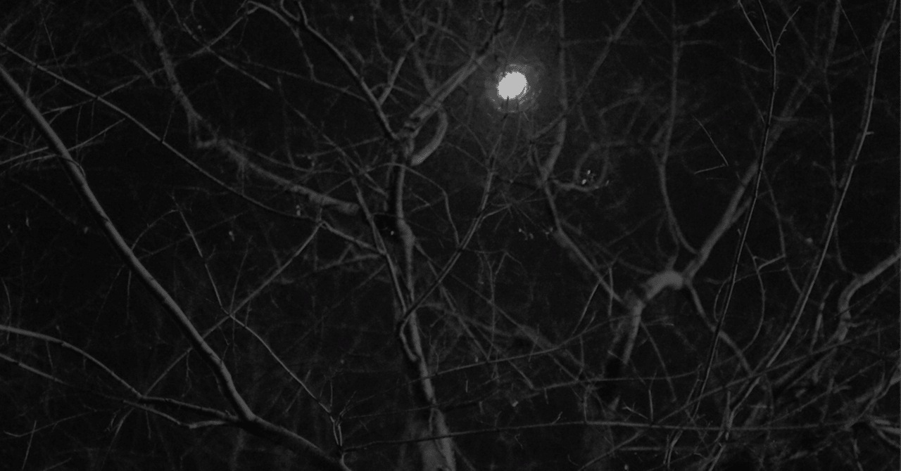 久方ぶりの便り｜Etsuko.N