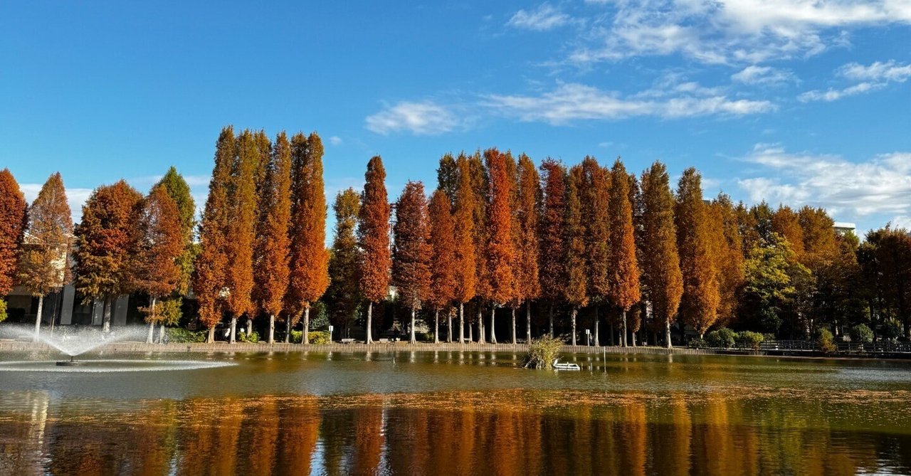 独立11年目の朝に思うこと｜SYNCA合同会計事務所