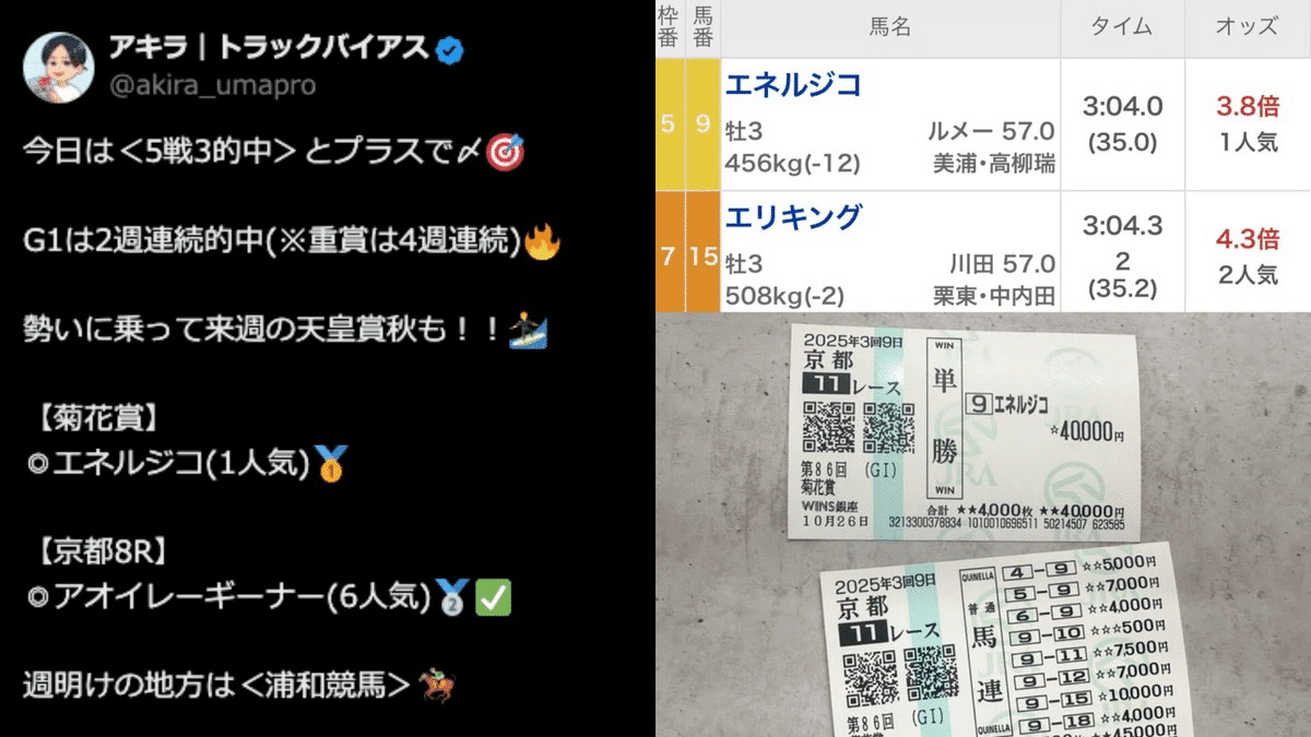 11/2(日) デルマー9R BCクラシック(G1)【07:25発走】｜アキラ｜トラックバイアス