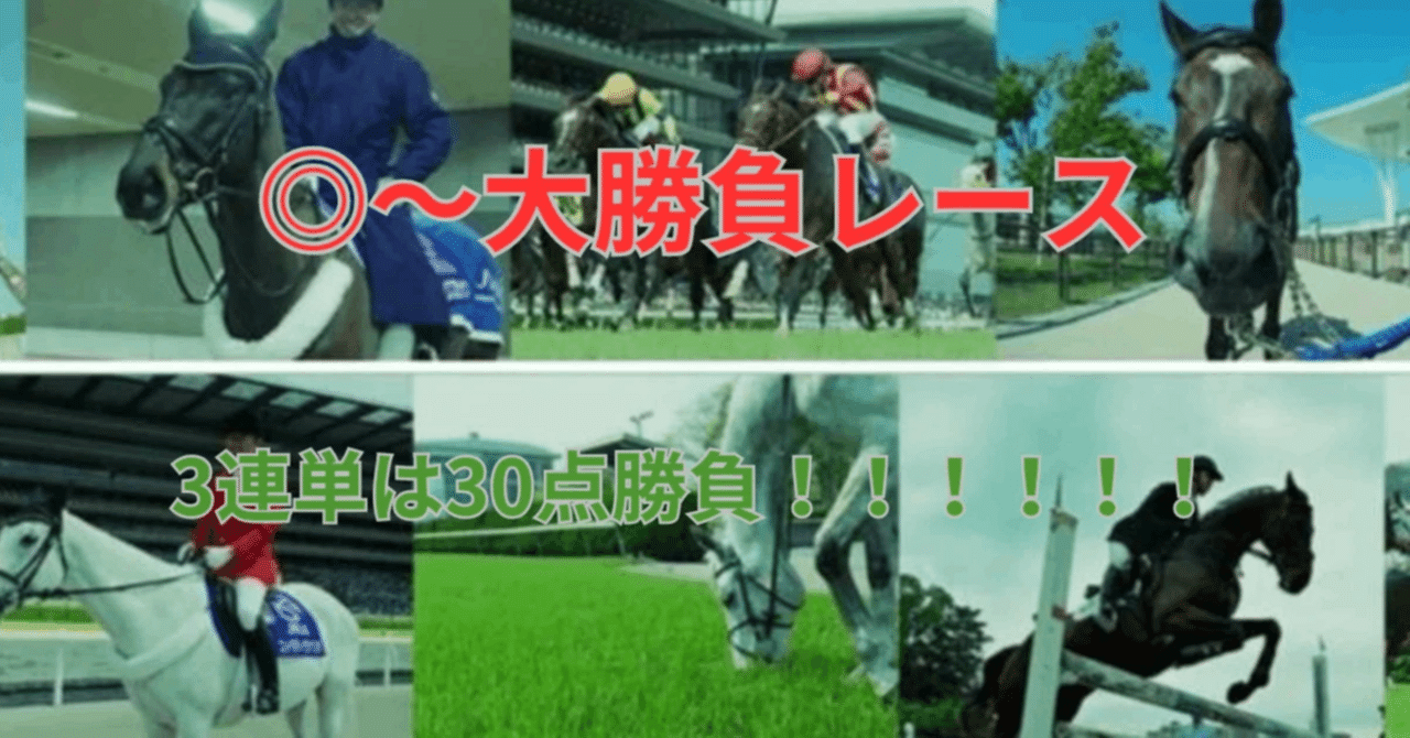 高知7R 土佐秋月賞🏇競馬予想🔥自信度SSS！狙い撃ち“極絞り”厚め勝負💰展開・データ・買い目【完全公開】11/2（日）18:15発走～今すぐチェック🔜 ｜まい競馬予想 No.1予想家（買い目 ...