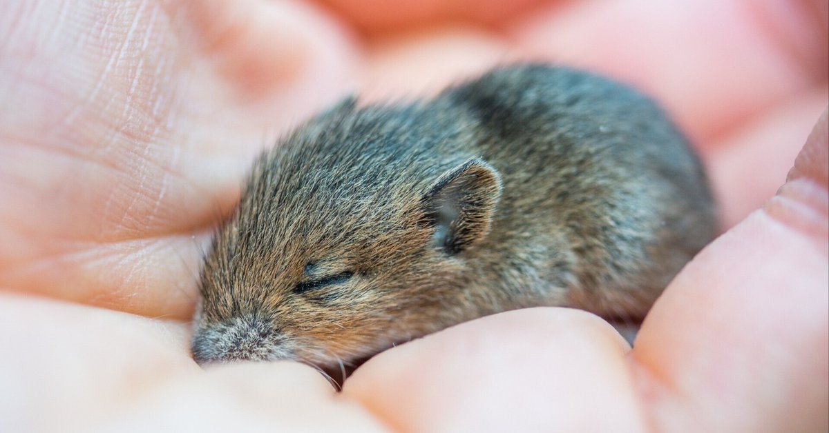 特技：寝ながら〇〇 弊害：記憶喪失 同じ特技のある人、kwsk連絡求む｜ステンドグラス369 Yama