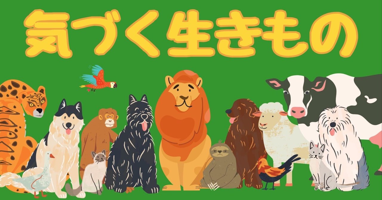 動物が見抜いているもの｜auralea_words