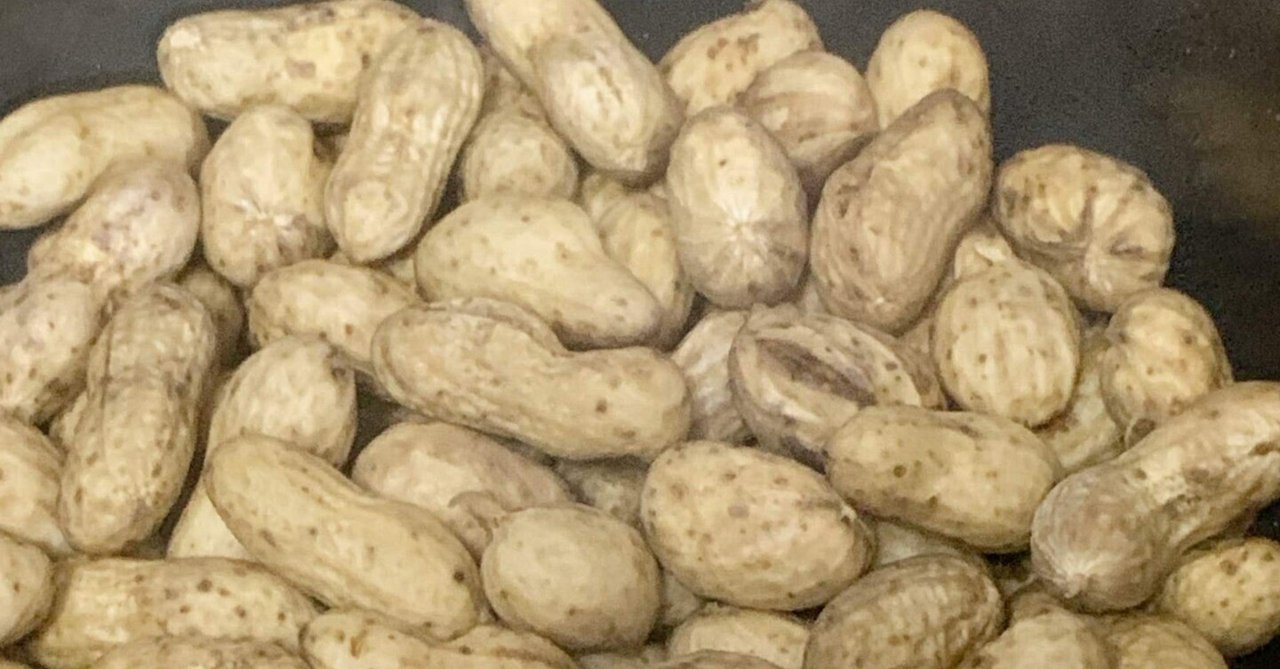【道の駅多古】生落花生を炊飯器で茹でピーにする簡単な方法｜ryosukewexer