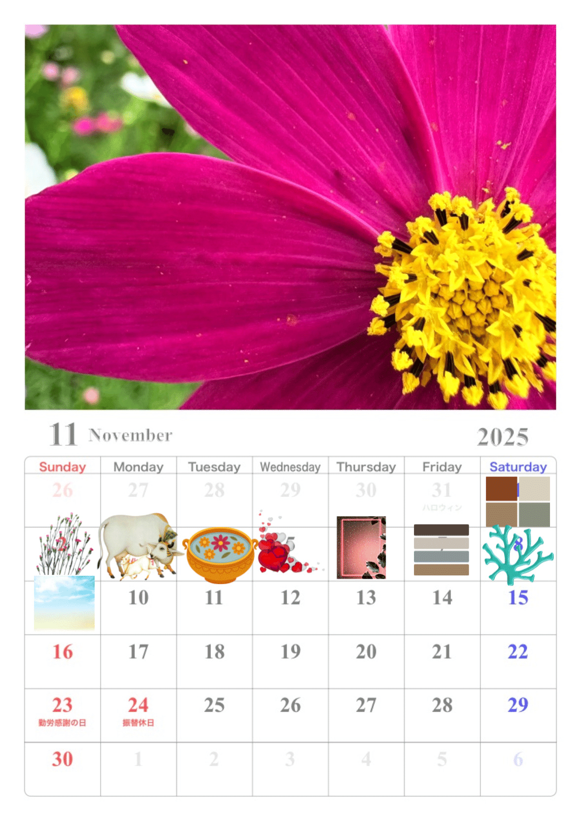 日々の機微1141日目。20251109.｜ミテイナリコ(MITEI NARICO)