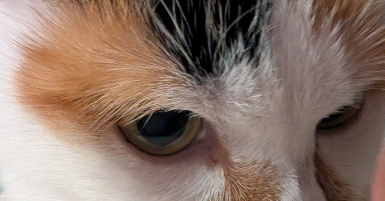 舌讃歌｜hirom_文麿